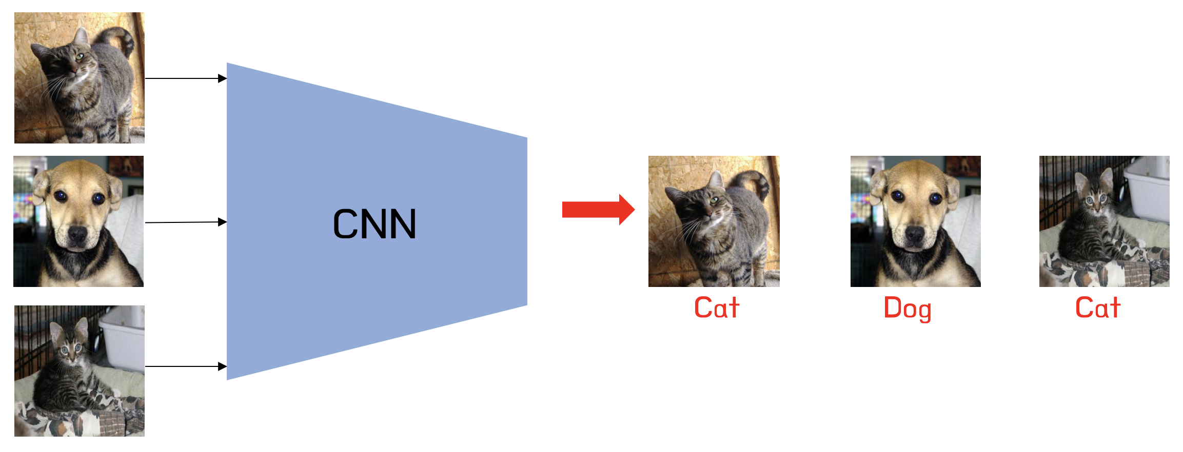 GitHub Vishwateja19 BINARY CLASSIFICATION CNN CUSTOM MODEL This Is A